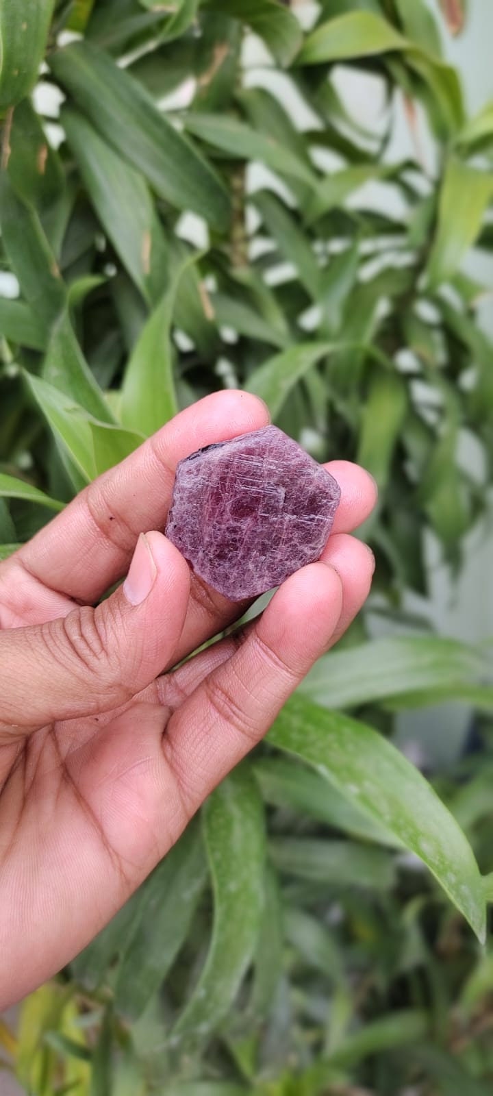 A RUBY Raw Crystal Record Keeper Purple Amazing CT-162 Hexagone Formation With Sacred Geometry ...