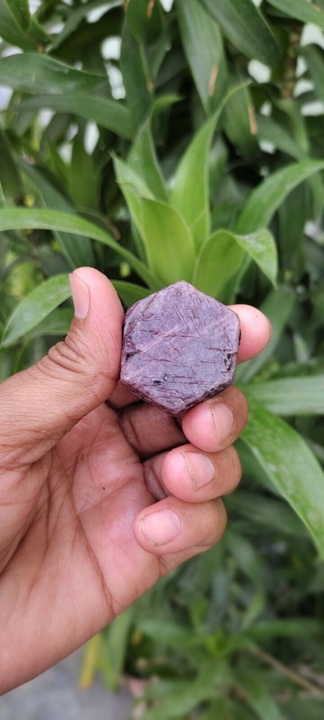 A RUBY Raw Crystal Record Keeper Purple Amazing CT-162 Hexagone Formation With Sacred Geometry ...