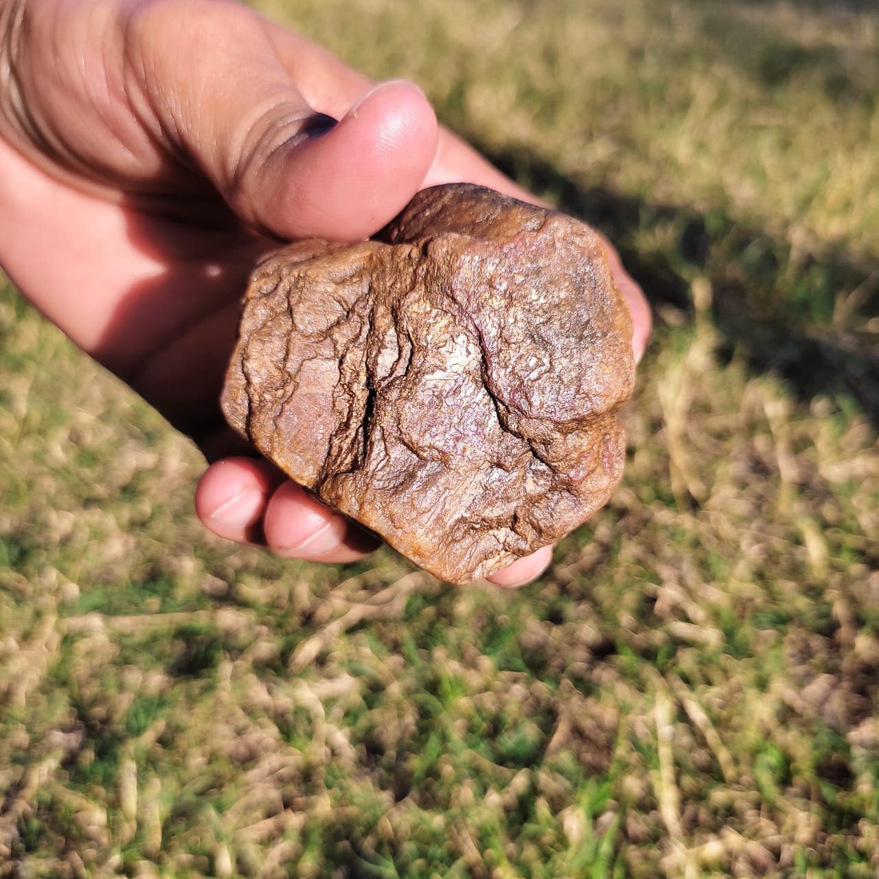 Star Sapphire Rough Stone, Natural Golden Shine,star Sapphire Rough ...