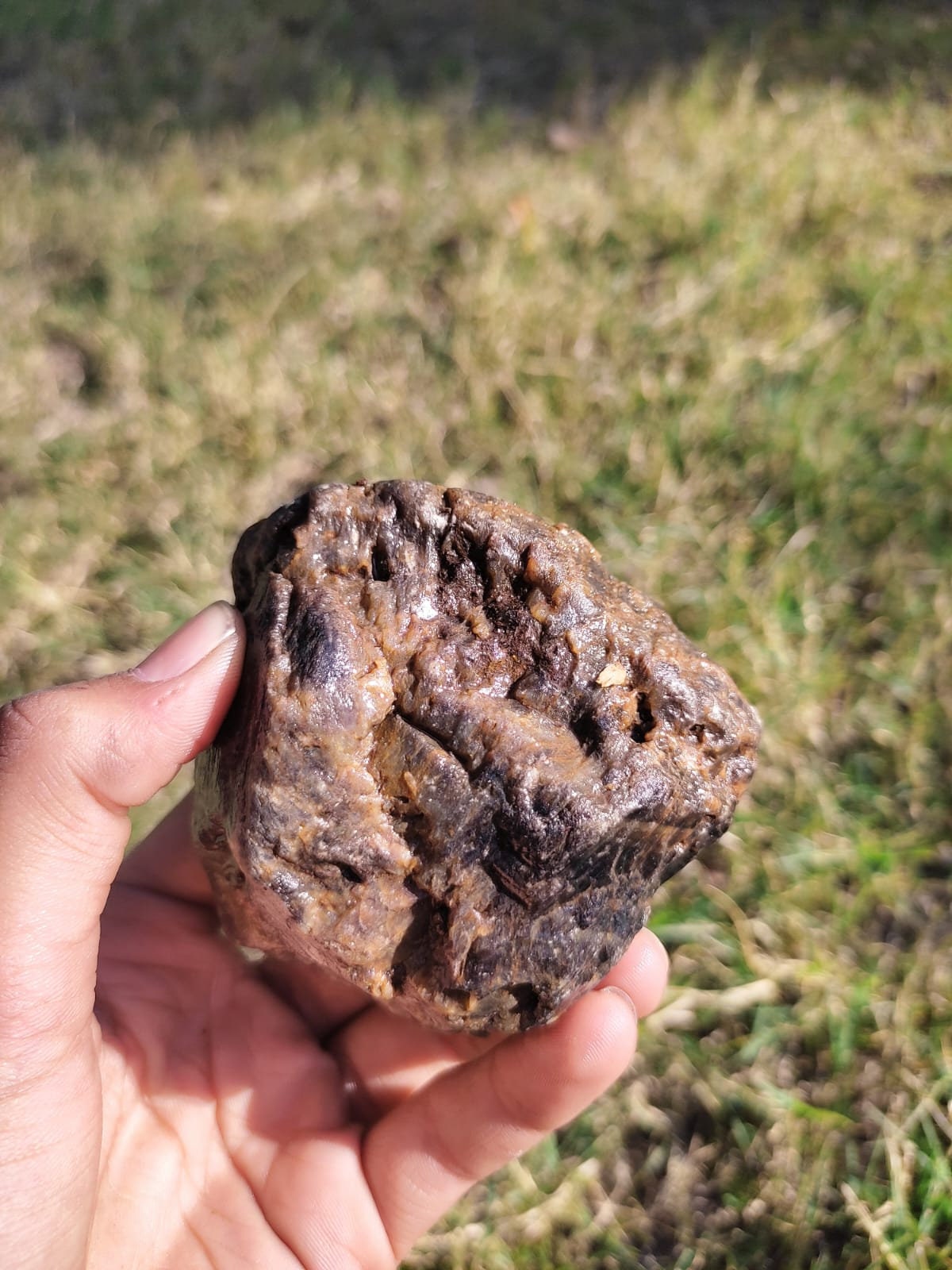 BIG SIZE Golden Shine Star Sapphire Raw, Star Sapphire Rough Stone ...