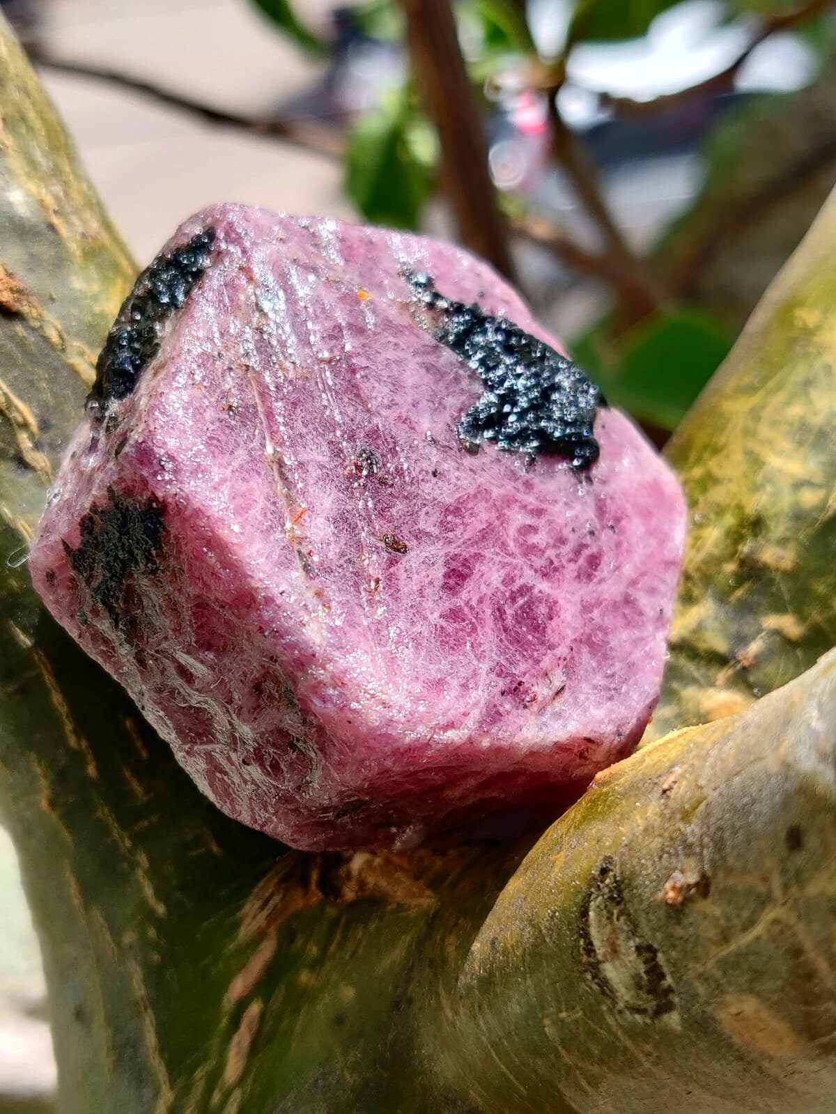 RUBY Raw Crystal Record Keeper Purple Amazing Triangle Formation With ...