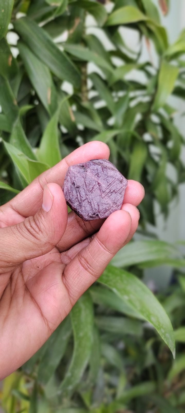 A RUBY Raw Crystal Record Keeper Purple Amazing CT-162 Hexagone Formation With Sacred Geometry ...