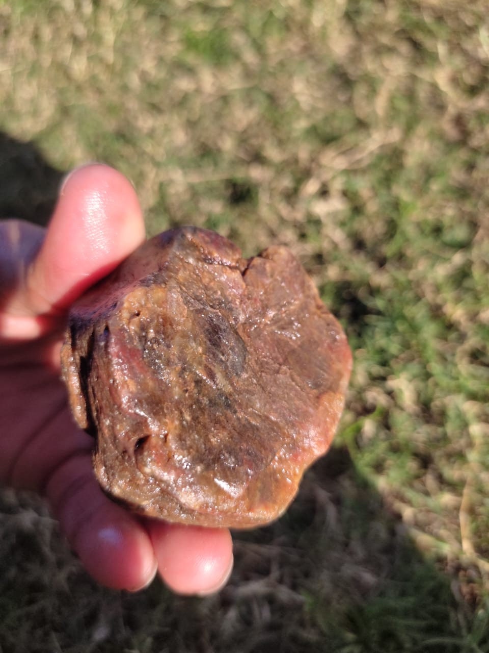 Star Sapphire Rough Stone, Natural Golden Shine,star Sapphire Rough ...