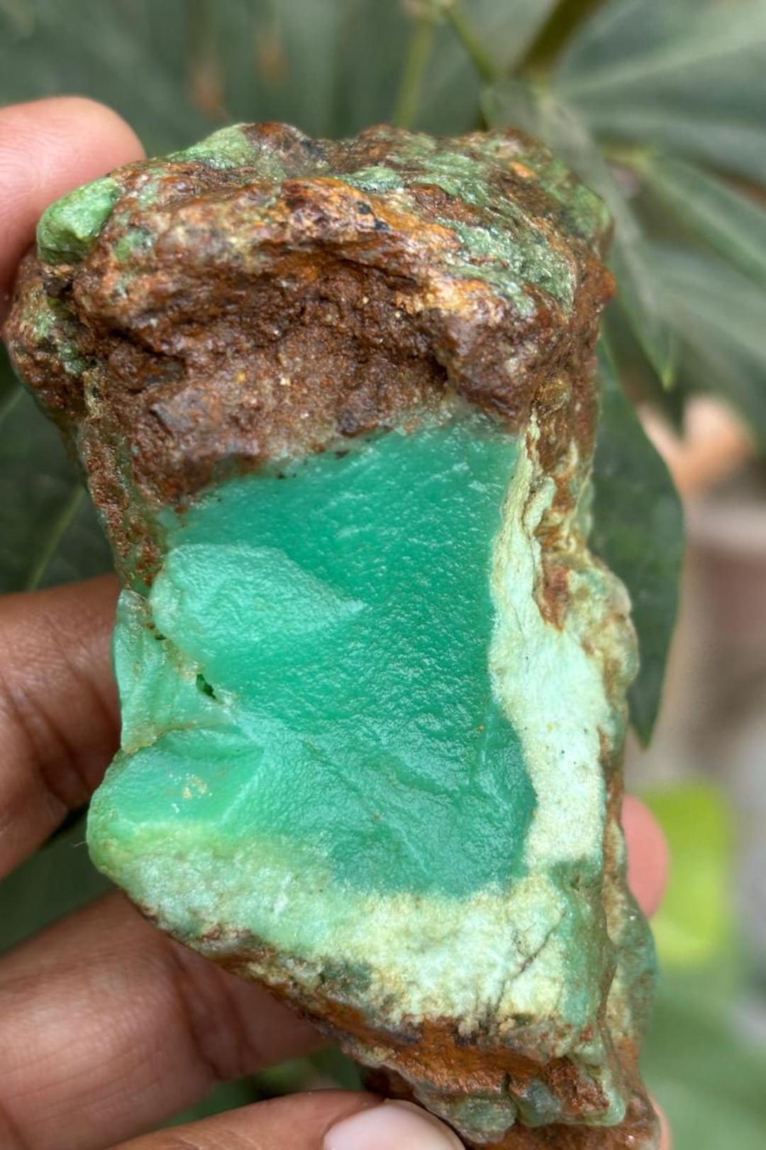 BIG Size Raw Chrysoprase Stone From Zimbabwe, Lapidary Rocks & Minerals ...