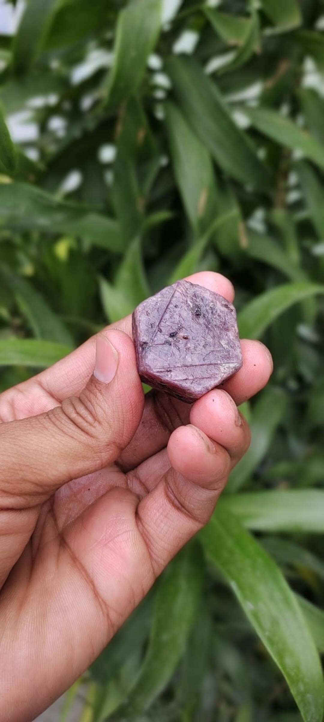 Natural Hexagonal Ruby Specimen From India With record Keeper Triangles ...
