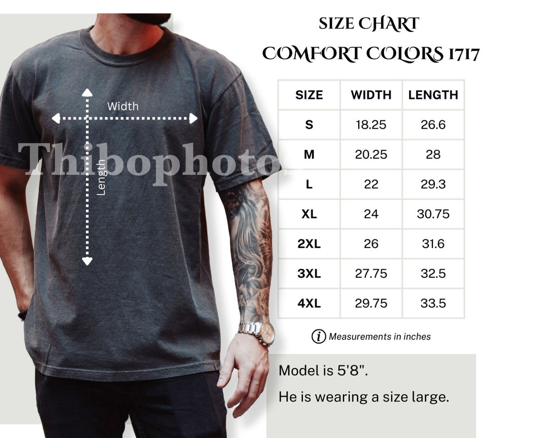 Comfort Colors 1717 Size Chart Male Model, Size Chart Mockup, Mens Size ...