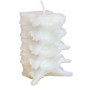 Spine Candle / Scoliosis / Beautiful Candle / Home Decor / Creepy ...