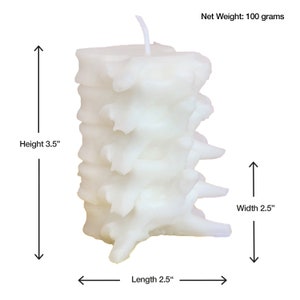 Spine Candle / Scoliosis / Beautiful Candle / Home Decor / Creepy ...