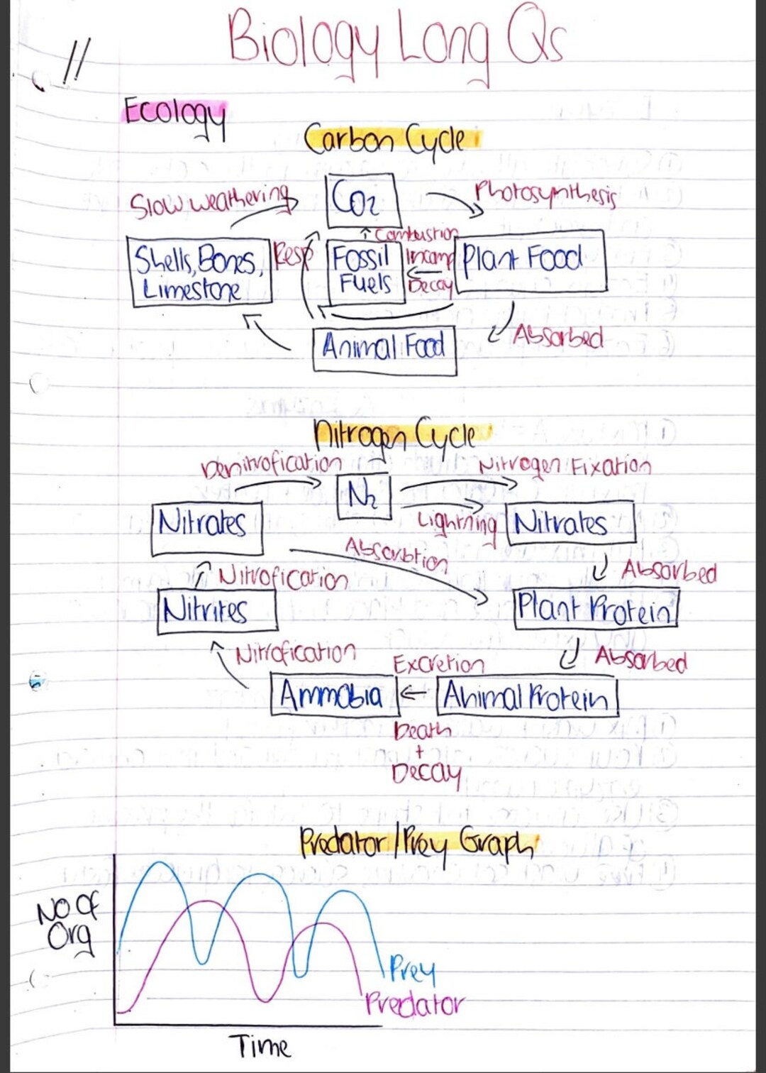 Leaving Cert Biology Frequently Asked Long Questions and Solutions - Etsy