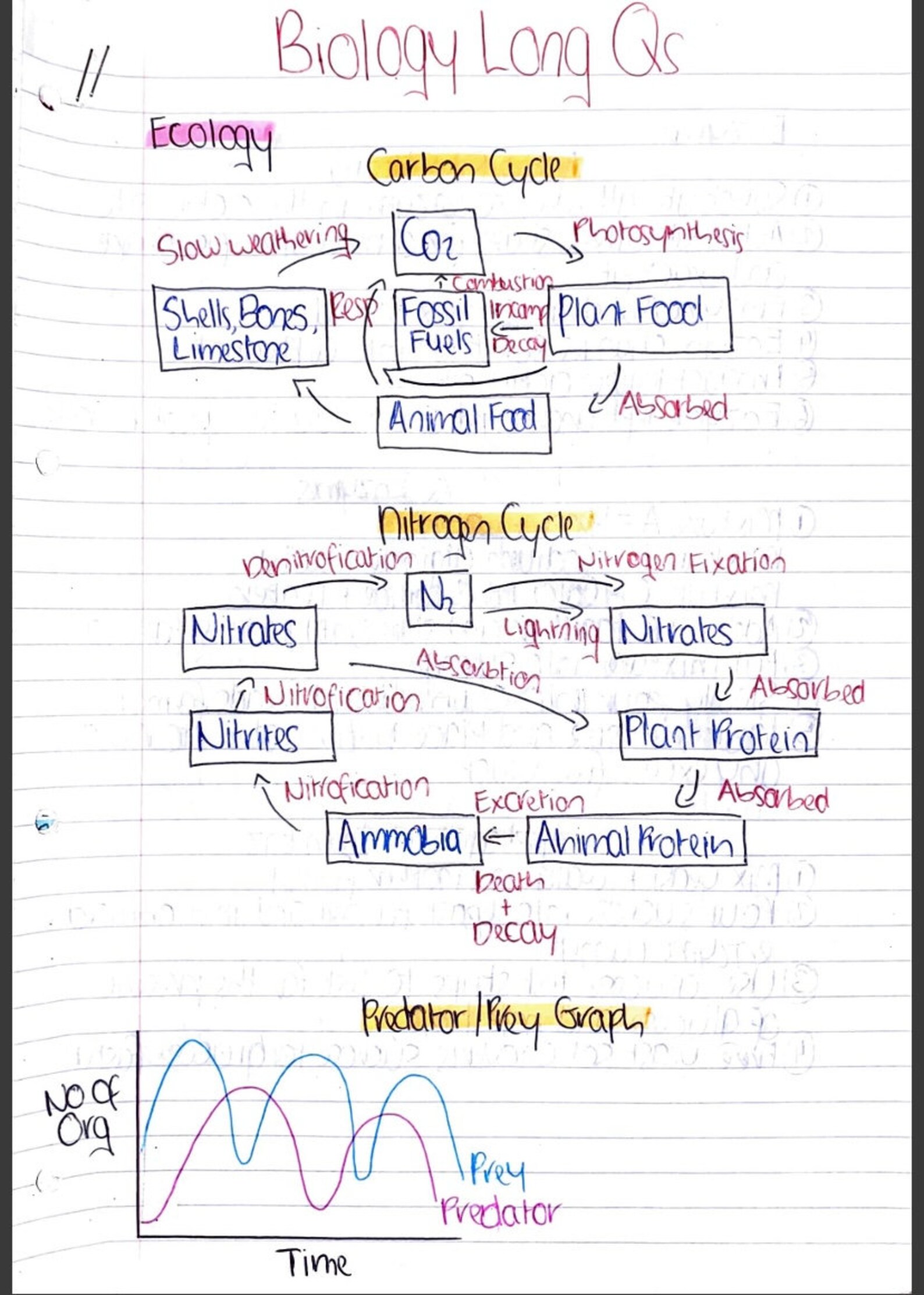 Leaving Cert Biology Frequently Asked Long Questions and Solutions - Etsy