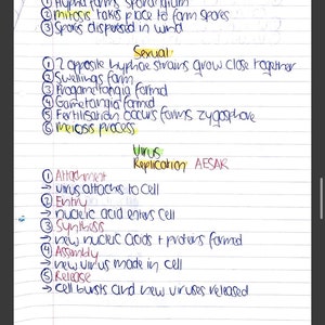 Leaving Cert Biology Frequently Asked Long Questions and Solutions - Etsy