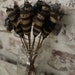 Primitive Bee Pick SET of 3-farmhouse Bumblebee- Bumble Bee- Honey Bees ...