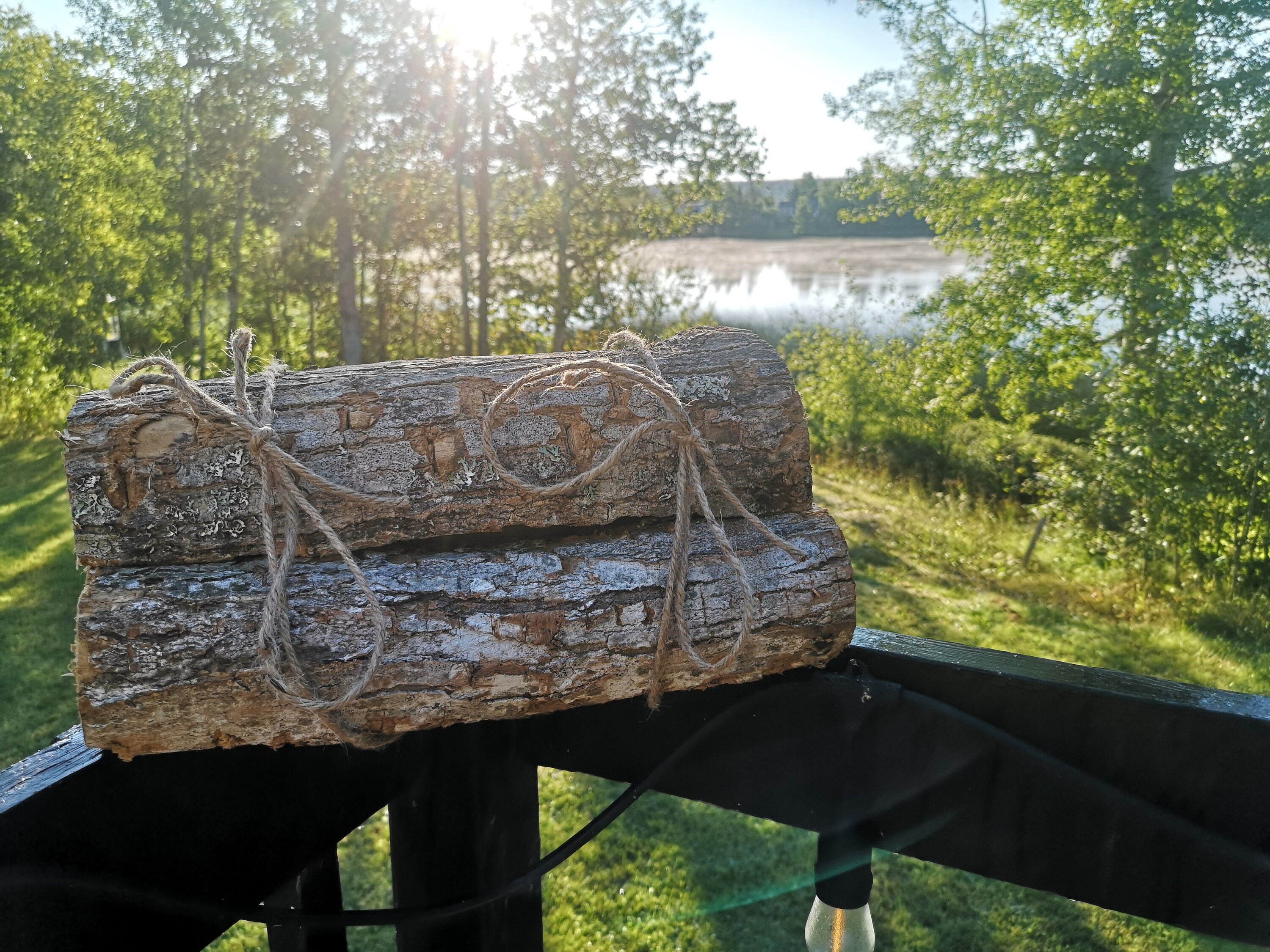 Canadian Maple Logs Bundle - Etsy