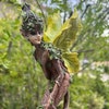 Fantasy Figurine Fairy Tree Elf Unique Decor Outdoor/indoor – Dryad ...