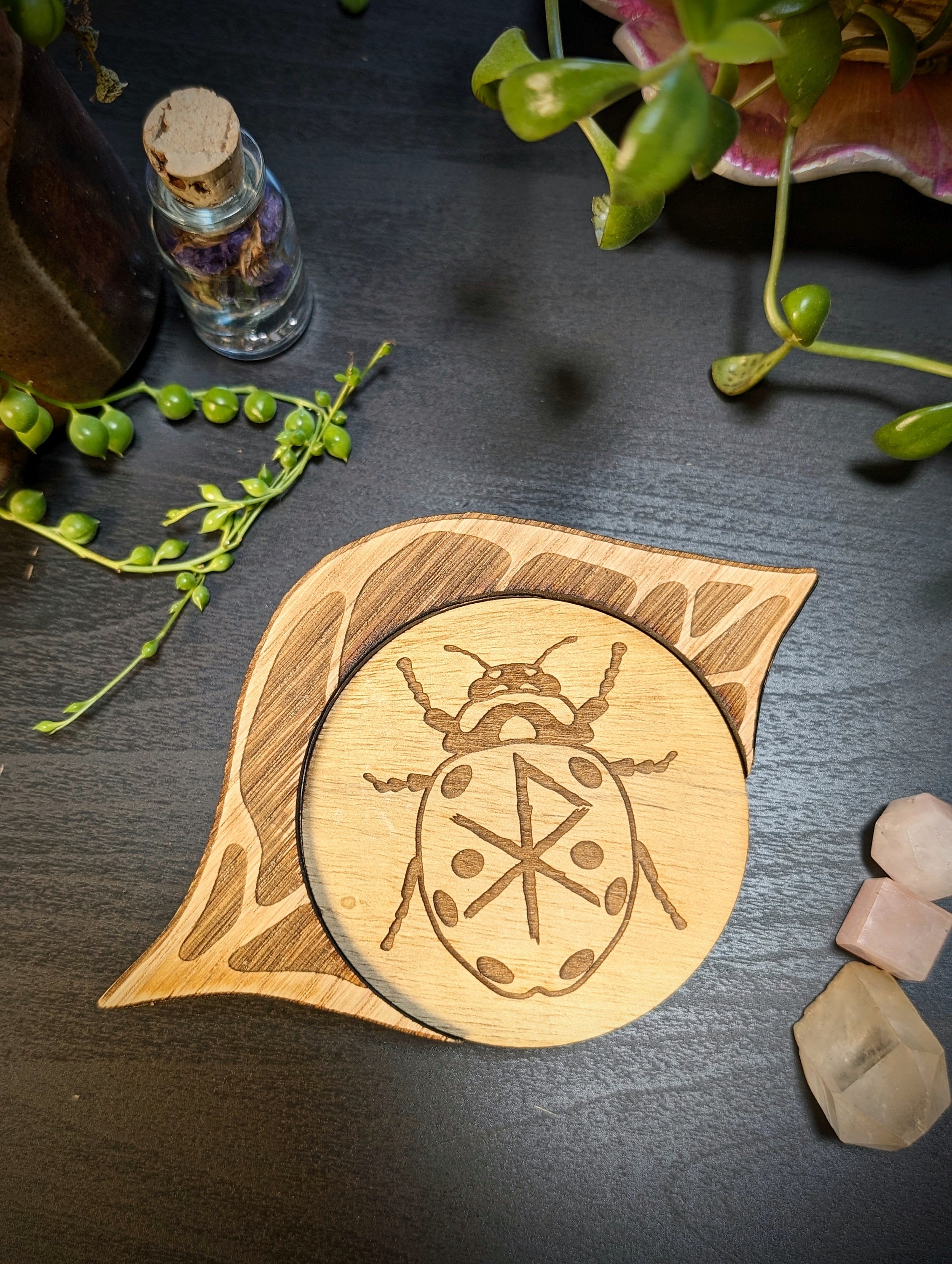 Bugs With Runes Wood Coasters - Etsy