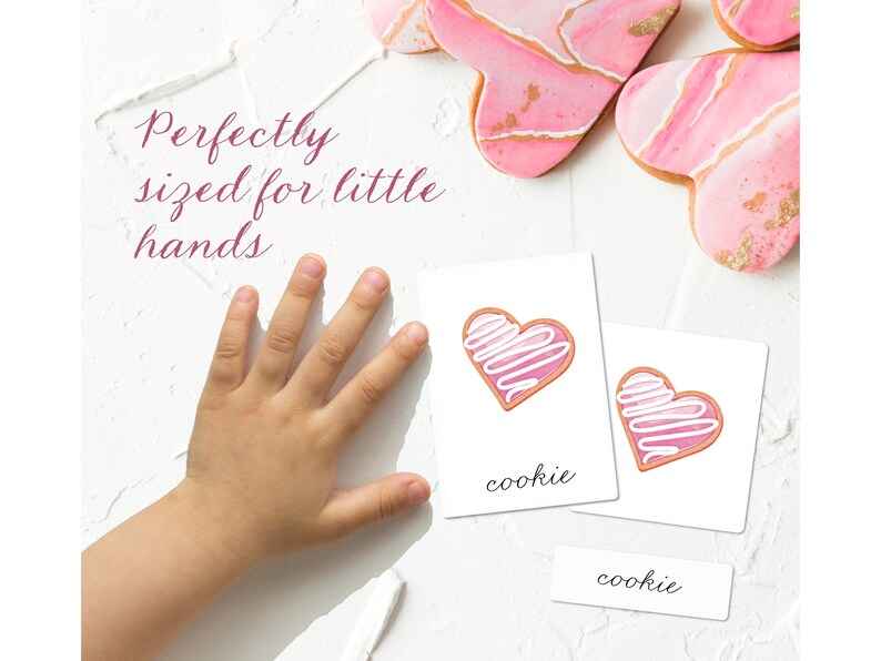 Valentine's Day Montessori-aligned 36 Nomenclature 3 Part Cards, Memory ...