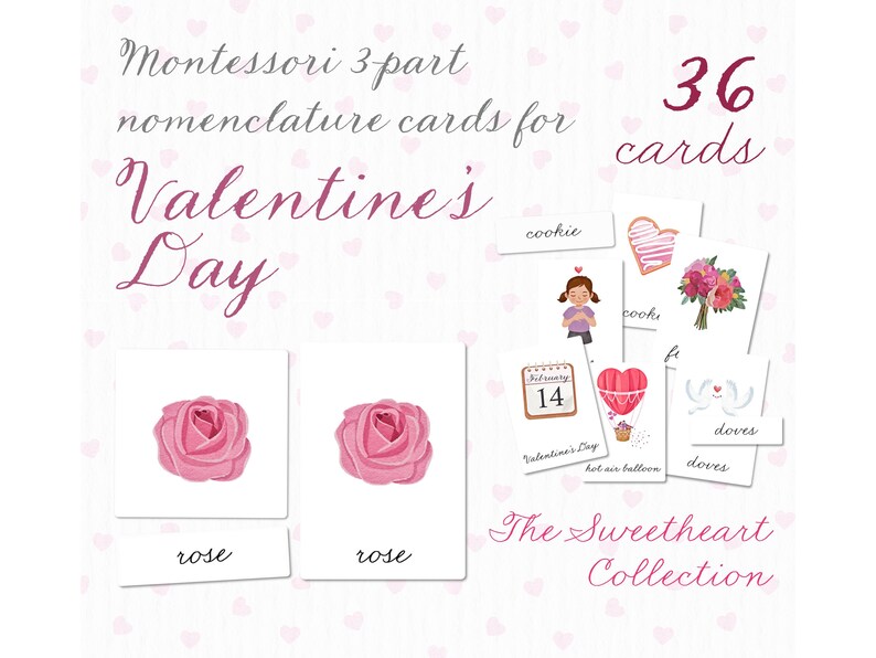 Valentine's Day Montessori-aligned 36 Nomenclature 3 Part Cards, Memory ...