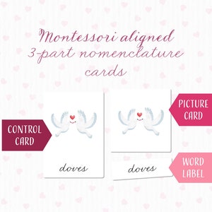 Valentine's Day Montessori-aligned 36 Nomenclature 3 Part Cards, Memory ...