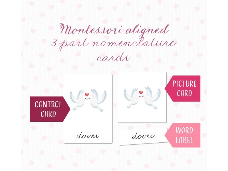 Valentine's Day Montessori-aligned 36 Nomenclature 3 Part Cards, Memory ...