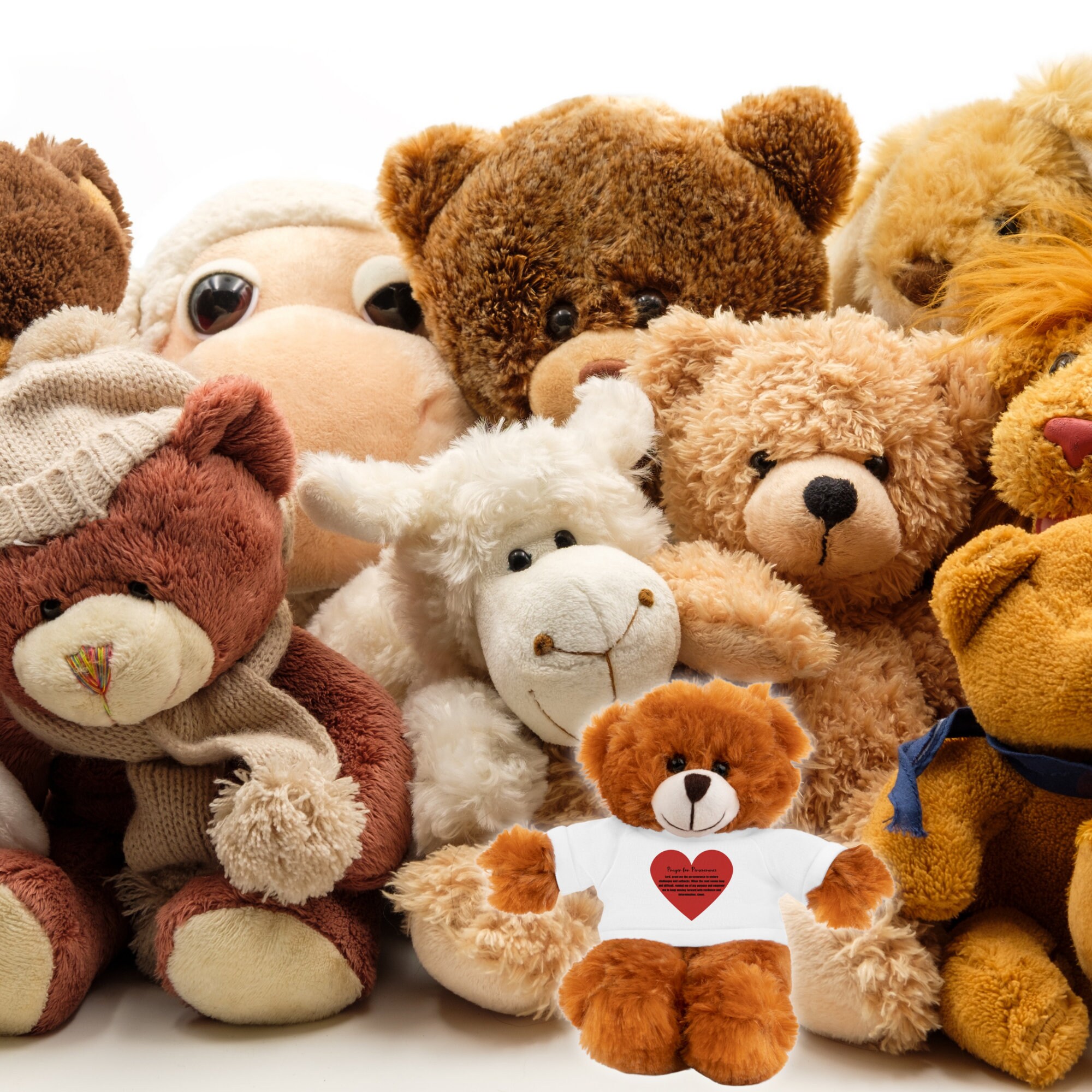 Motivating Inspiring Prayer Plushie Stuffed Animals With Prayers ...