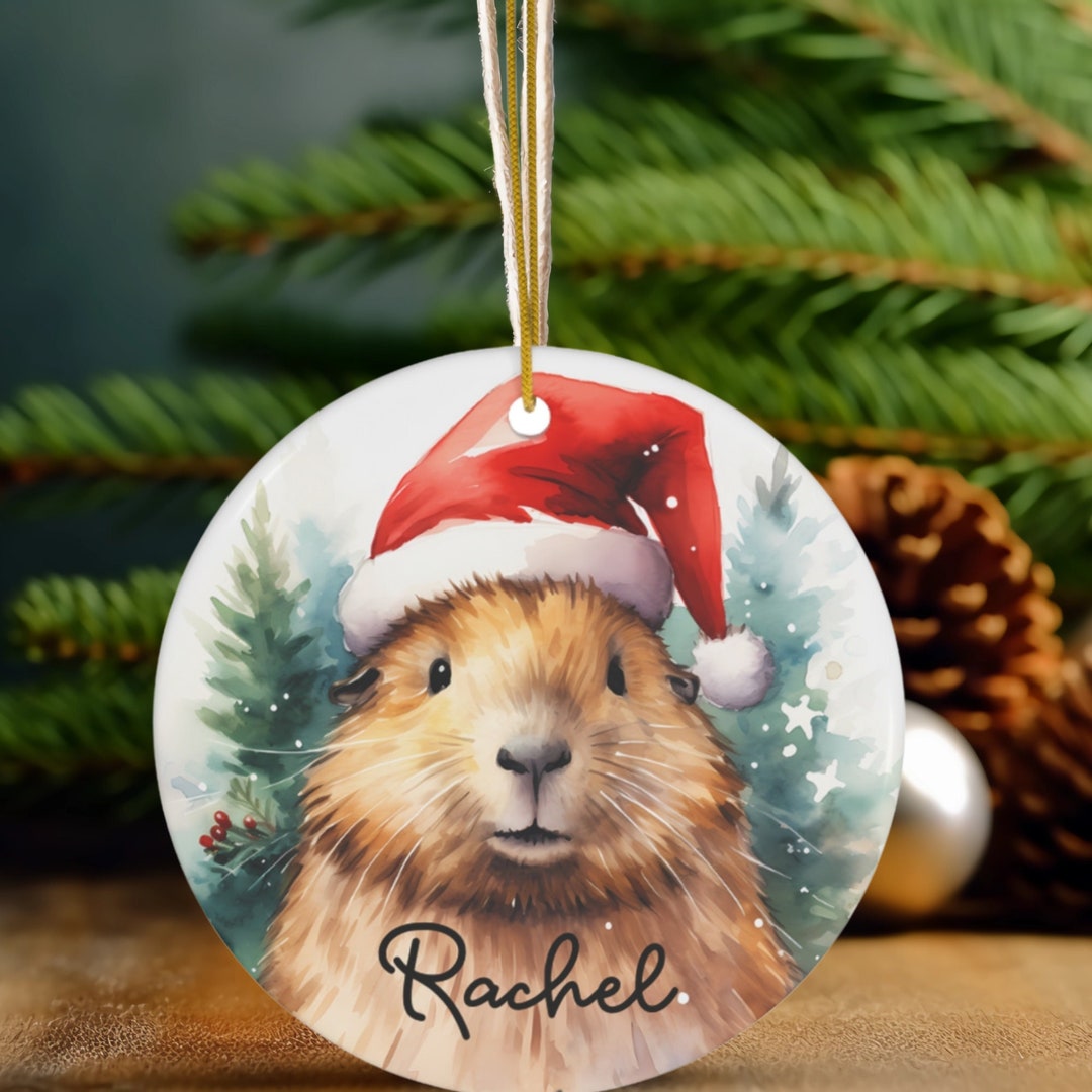 Capybara Personalized Ornament/unique Capybara Christmas Tree Decor ...