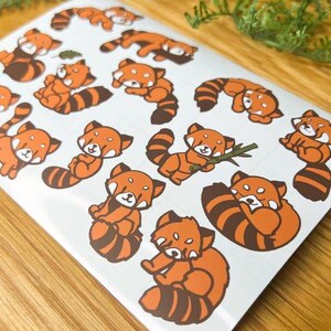 Red Panda Vinyl Decal Set, Waterproof Stickers for Water Bottles and ...