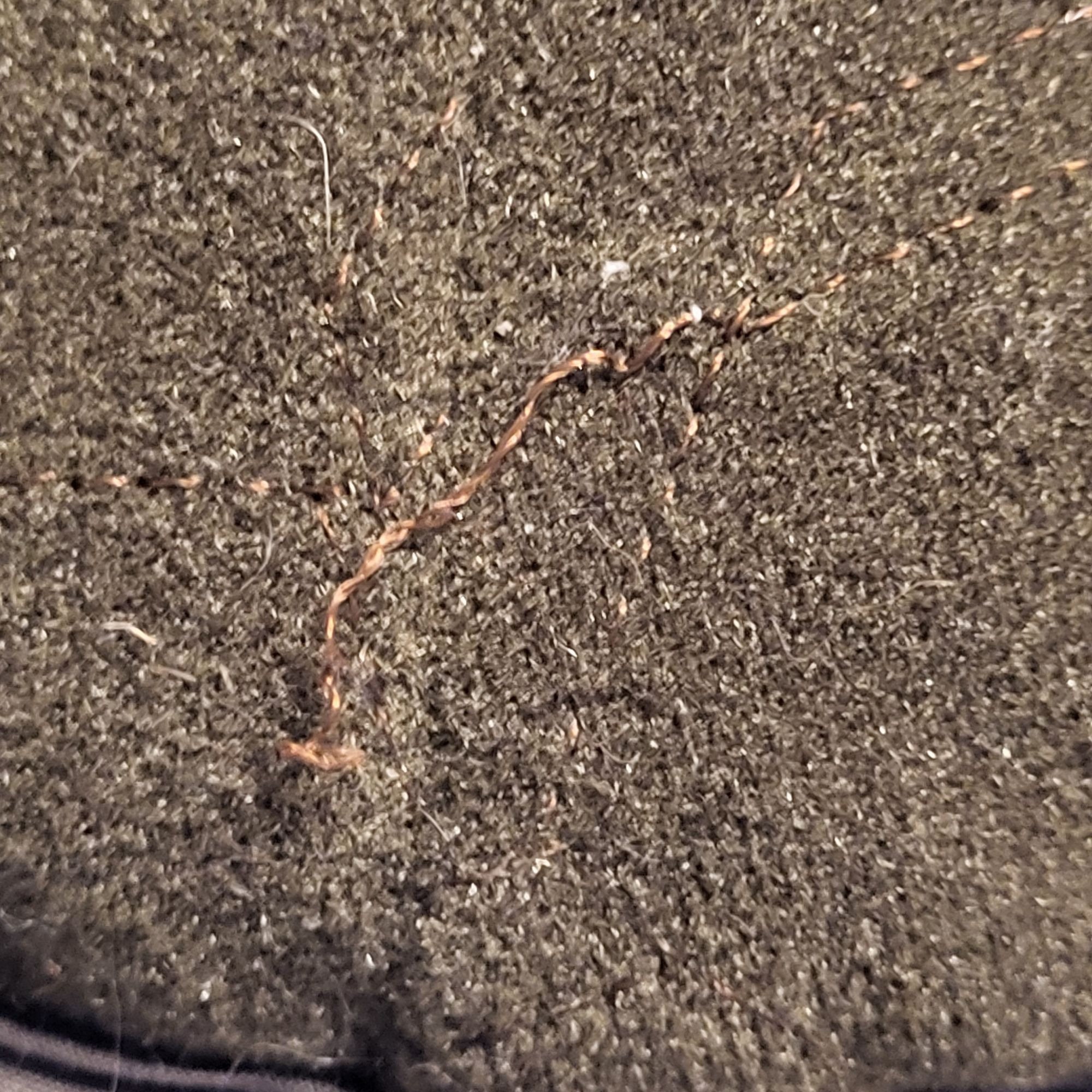 Folkmanis Furry Folks Hand Puppet Turtle 12 in Plush Soft Toy - Etsy