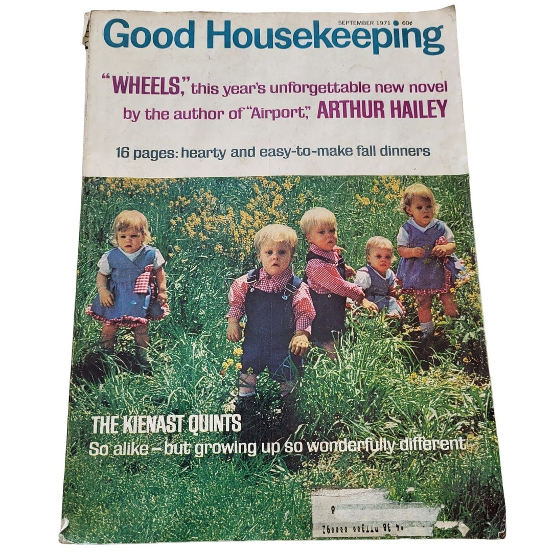 Vintage Good Housekeeping Magazine Advertising September 1971 Kienast ...