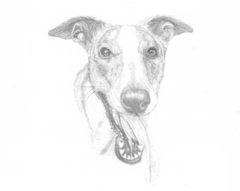 Custom Graphite Pet Portrait 8x10 - Etsy