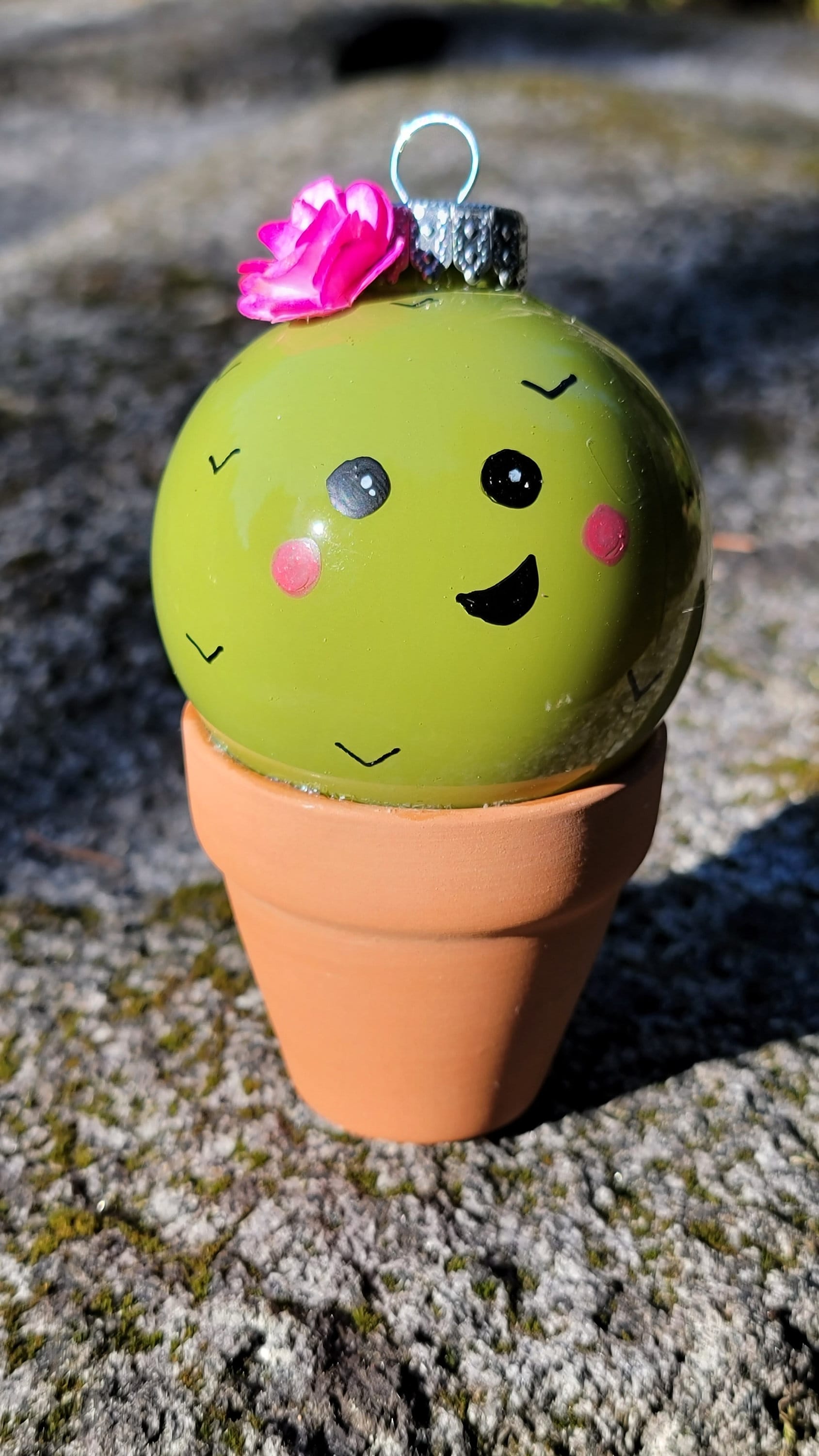 Cutie Christmas Cactus - Etsy