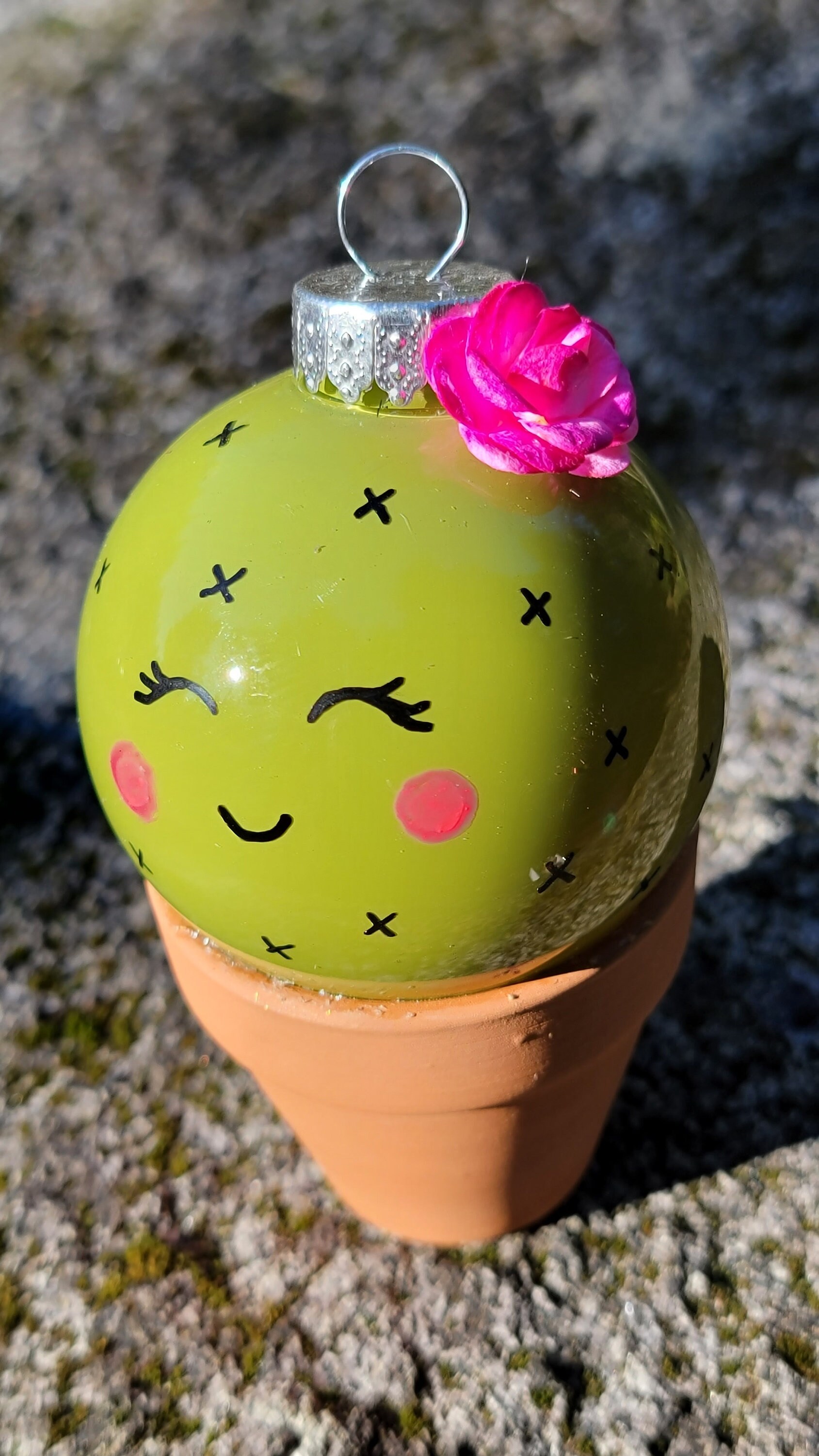 Cutie Christmas Cactus - Etsy