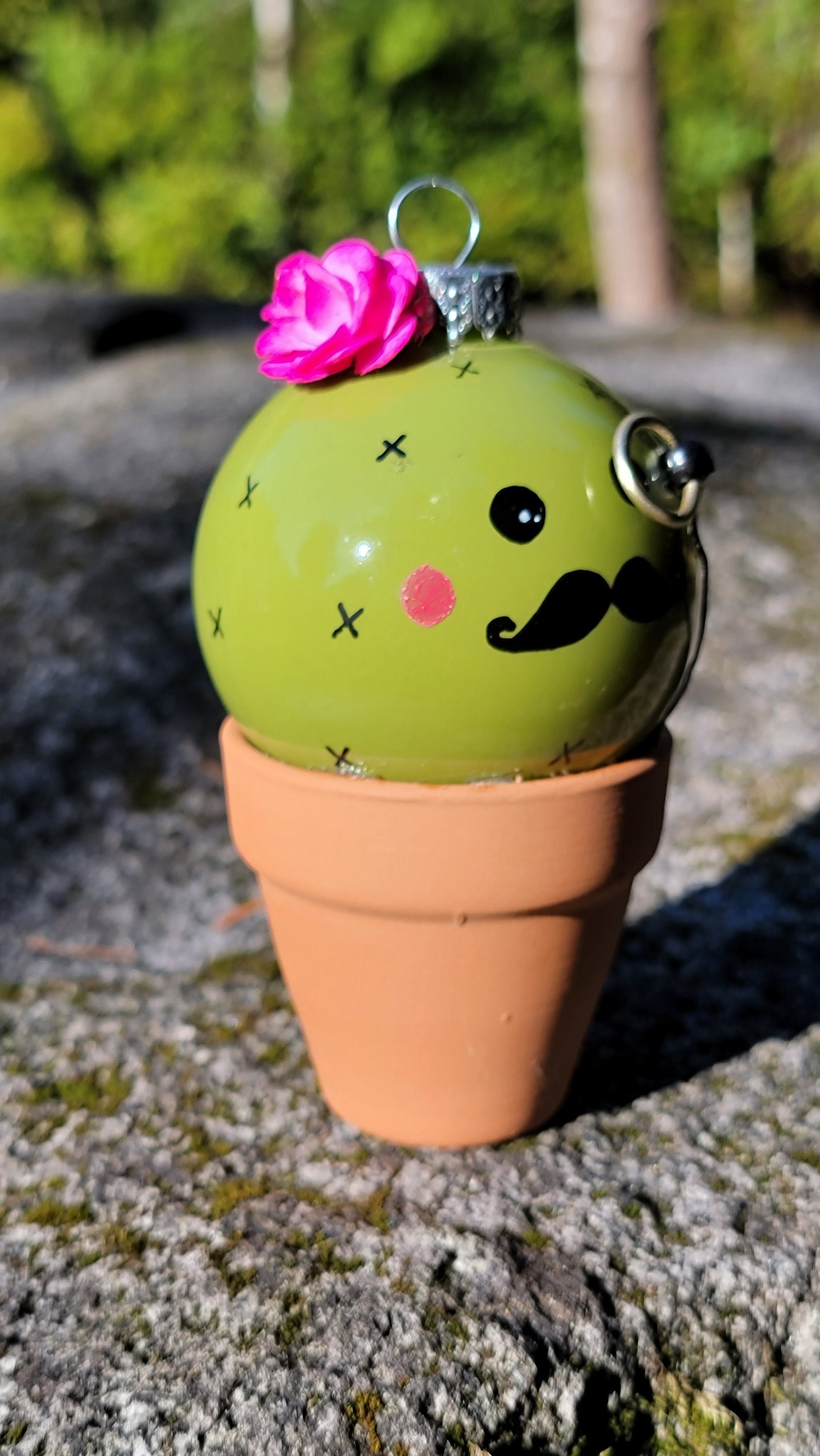 Cutie Christmas Cactus - Etsy