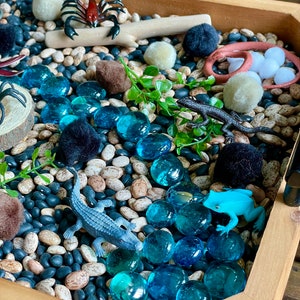 Creepy Crawling Bugs and Reptiles Sensory Kit - Etsy