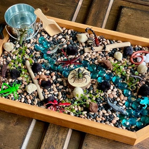 Creepy Crawling Bugs and Reptiles Sensory Kit - Etsy