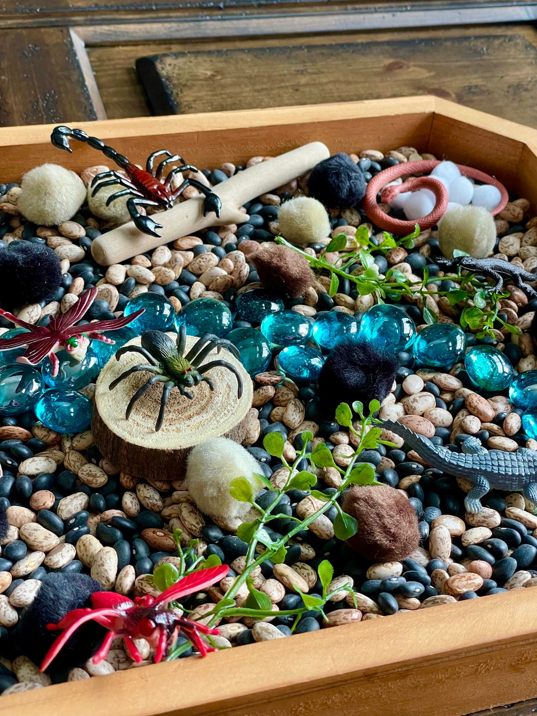Creepy Crawling Bugs and Reptiles Sensory Kit - Etsy