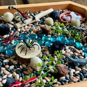 Creepy Crawling Bugs and Reptiles Sensory Kit - Etsy