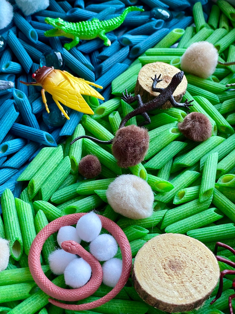 Swamp Life Sensory Kit - Etsy
