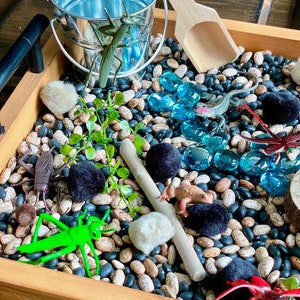 Creepy Crawling Bugs and Reptiles Sensory Kit - Etsy