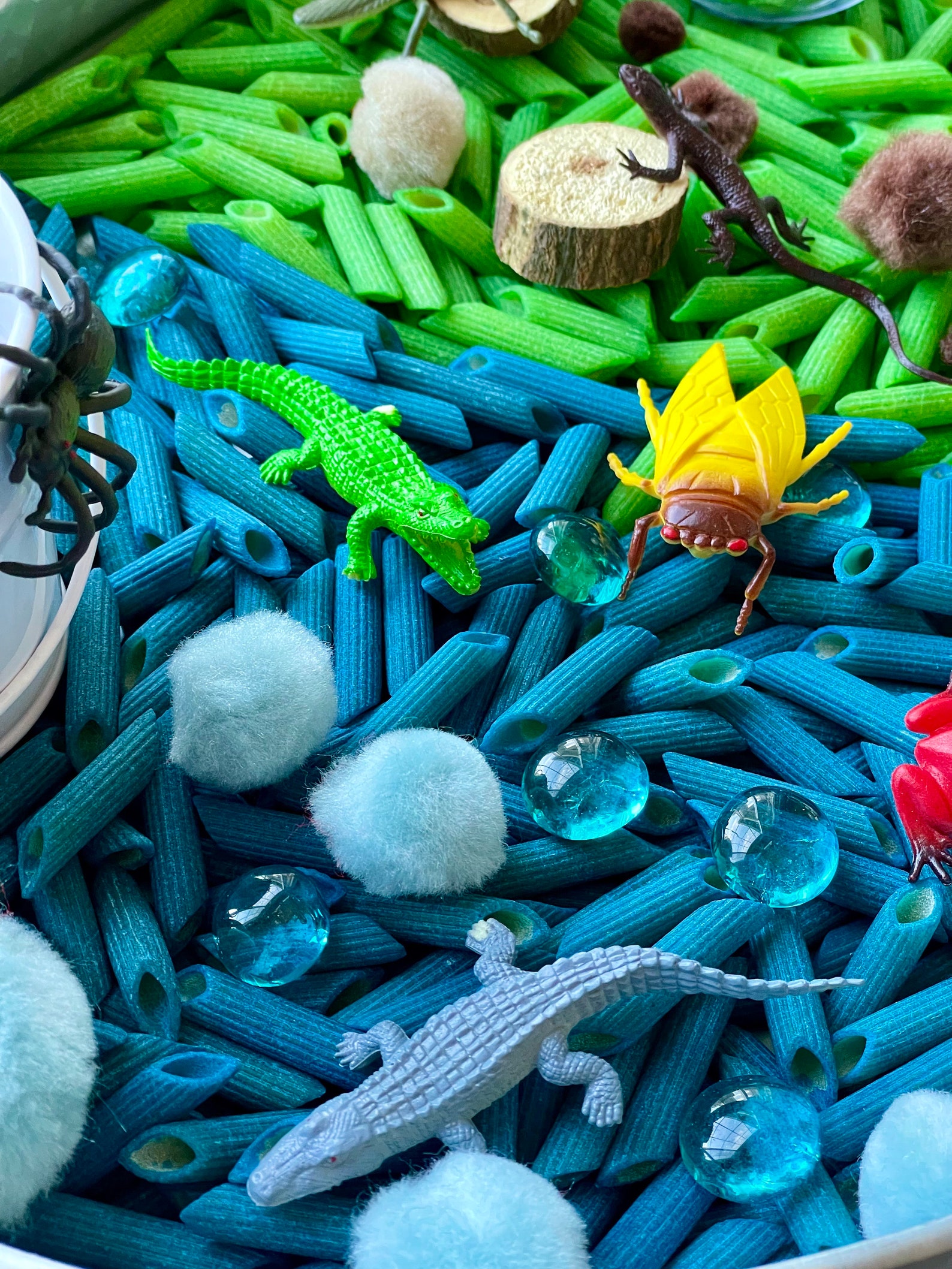 Swamp Life Sensory Kit - Etsy