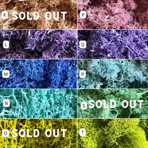 Real Dried Mix Moss Craft Making Moss for Crafts Fairy Garden Moss ...