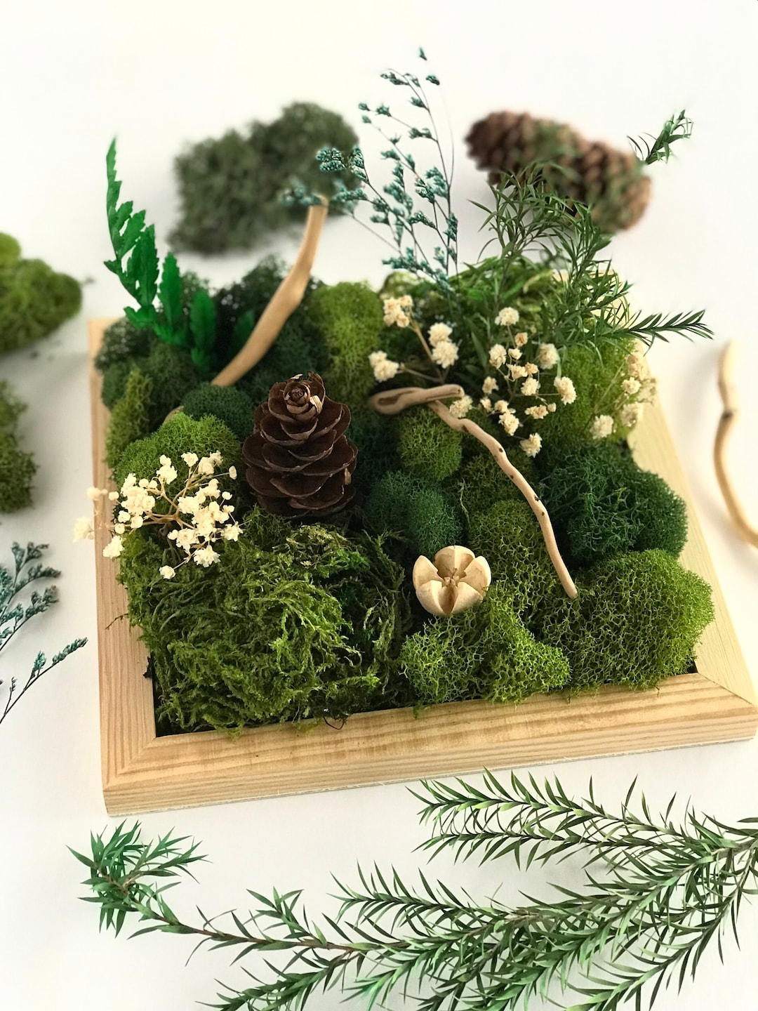 Moss Garden Kit Moss Garden Centerpiece Moss Desk Plant Moss ...