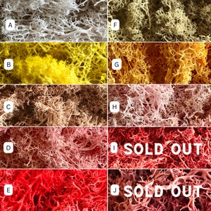 Real Dried Mix Moss Craft Making Moss for Crafts Fairy Garden Moss ...