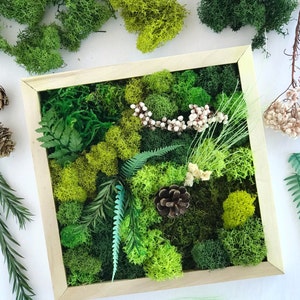 Craft Kit Gift DIY Moss Wall Art Kit DIY Craft Kit Instructions DIY ...