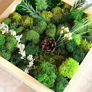 Craft Kit Gift DIY Moss Wall Art Kit DIY Craft Kit Instructions DIY ...