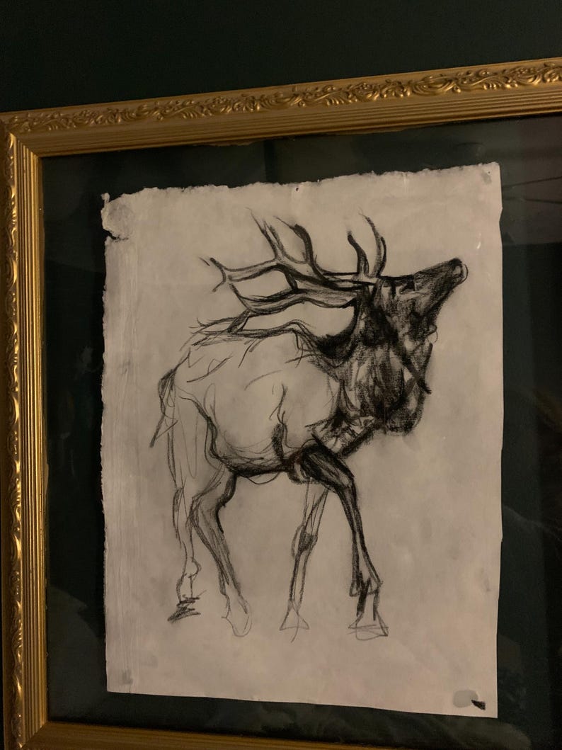 Custom Charcoal Animal Drawing - Etsy