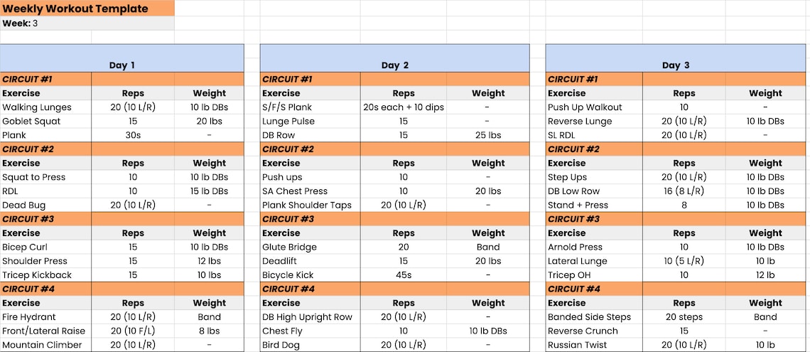 Weekly Workout Plan Template - Etsy