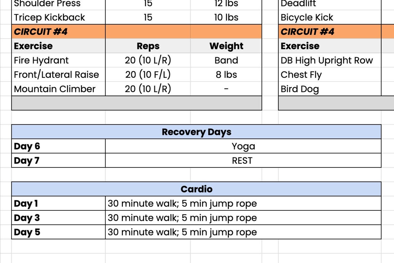 Weekly Workout Plan Template - Etsy