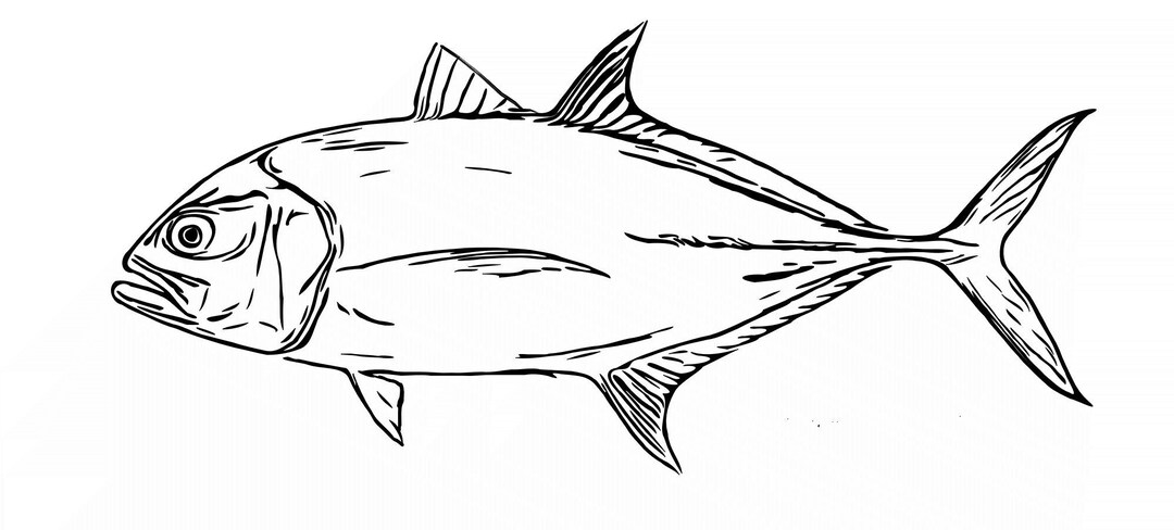 Illustrated Fish Design Digital File - Etsy