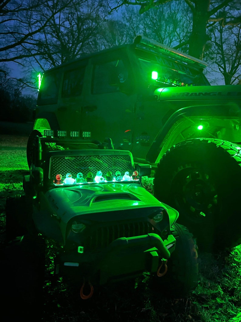 Jr Duckwood LED , the Original LED Duck Light Bar - Etsy