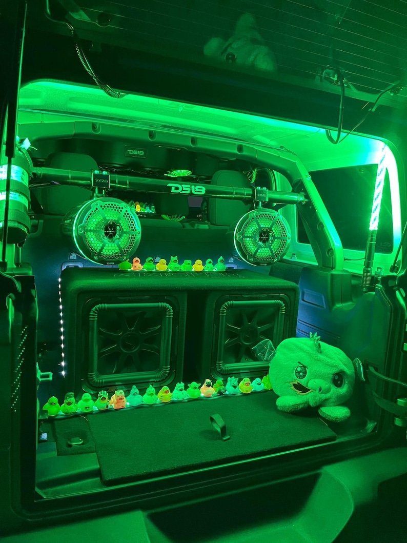 Duckwood Dual LED Duck Display Bar: 210 Color Options - Etsy